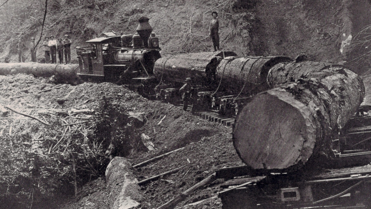 nystudio107 | Creating a Custom Logger for Craft CMS